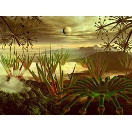Fototapete papermoon "PLANETEN-FUTURISTISCH WELTRAUM MOND GALAXIE UNIVERSUM", bunt, B:3,5m L:2,6m, Vlies, Tapeten