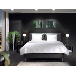 Bettw&auml;sche YELLOW "Percale", wei&szlig; (optic wei&szlig;), B/L: 135cm x 200cm, 1 Stk., 1 Stk., Perkal, B/L: 80cm x 80cm, 2, Perkal, Obermaterial: 100% Baumwolle, Bettw&auml;sche, Bettw&auml;sche, Uni Design, 100% Baumwolle ab 135x200 cm.