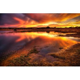 Fototapete papermoon "Flammender Himmel", bunt, B:4,5m L:2,8m, Vlies, Tapeten