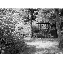 Fototapete papermoon "Garten Schwarz & Wei&szlig;", schwarz (schwarz, wei&szlig;), B:4,5m L:2,8m, Vlies, Tapeten