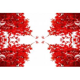 Fototapete ARCHITECTS PAPER "Artwork Trees", rot (rot, wei&szlig;), B:4m L:2,7m, Vlies, Tapeten, Vlies, Wand, Schr&auml;ge