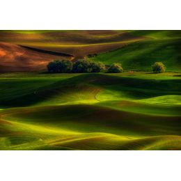 Fototapete papermoon "Photo-Art LYDIA JACOBS, FR&Uuml;HLING IM PALOUSE", bunt, B:3,5m L:2,6m, Vlies, Tapeten