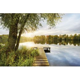 Fototapete Komar "Vlies - Picnic - Gr&ouml;&szlig;e 368 x 248 cm", bunt, B:3,68m L:2,48m, Vlies, Tapeten, Wohnzimmer, Schlafzimmer