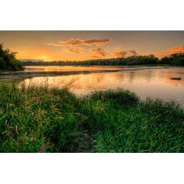 Fototapete papermoon "Fluss im Wald", bunt, B:4,5m L:2,8m, Vlies, Tapeten