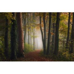 Fototapete papermoon "Photo-Art YE, BUNTE WALD DES HERBSTES", bunt, B:4m L:2,6m, Vlies, Tapeten