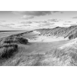 Fototapete papermoon "Strand Schwarz & Wei&szlig;", schwarz (schwarz, wei&szlig;), B:4m L:2,6m, Vlies, Tapeten