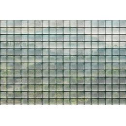 Livingwalls Fototapete LIVING WALLS "Walls by Patel Greenhouse", gr&uuml;n (gr&uuml;n2), B:4m L:2,7m, Vlies, Tapeten, Vlies, Wand