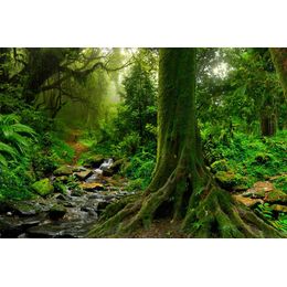 Fototapete papermoon "Tropischer Jubgle Stream", bunt, B:5m L:2,8m, Vlies, Tapeten