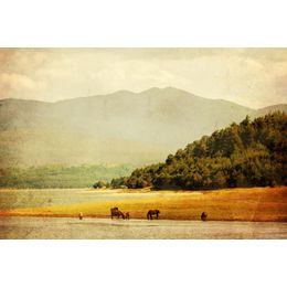 Fototapete papermoon "LANDSCHAFT-HERBST NATUR BERGE GEBIRGE WALD B&Auml;UME SEE", bunt, B:4,5m L:2,8m, Vlies, Tapeten