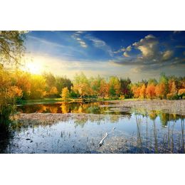 Fototapete papermoon "See mit Wald", bunt, B:5m L:2,8m, Vlies, Tapeten