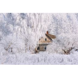 Fototapete papermoon "Haus in Schneelandschaft", bunt, B:4,5m L:2,8m, Vlies, Tapeten
