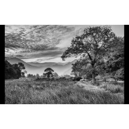 Fototapete papermoon "Landschaft Schwarz & Wei&szlig;", schwarz (schwarz, wei&szlig;), B:4m L:2,6m, Vlies, Tapeten