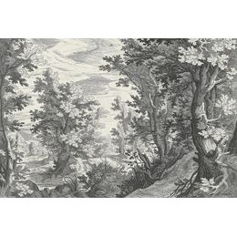Livingwalls Fototapete LIVING WALLS "Walls by Patel Fancy Forest", grau (grau1), B:4m L:2,7m, Vlies, Tapeten, Vlies, Wand