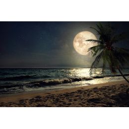 Fototapete papermoon "STRAND-NATUR PALMEN MEER D&Uuml;NEN MOND PALME LANDSCHAFT", bunt, B:3,5m L:2,6m, Vlies, Tapeten