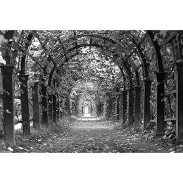 Fototapete papermoon "Garten Schwarz & Wei&szlig;", schwarz (schwarz, wei&szlig;), B:5m L:2,8m, Vlies, Tapeten