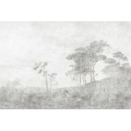 Livingwalls Fototapete LIVING WALLS "Walls by Patel Romantic Grove", grau, B:4m L:2,7m, Vlies, Tapeten, Vlies, Wand