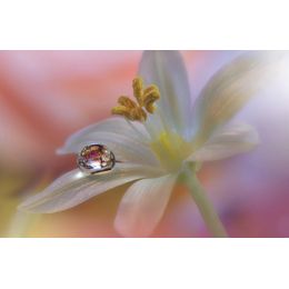Fototapete papermoon "Zen Wassertropfen mit Blume Makro", bunt, B:4,5m L:2,8m, Vlies, Tapeten