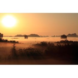 Fototapete papermoon "SONNENUNTERGANG NEBEL LANDSCHAFT", bunt, B:3,5m L:2,6m, Vlies, Tapeten