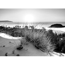 Fototapete papermoon "Strand Schwarz & Wei&szlig;", schwarz (schwarz, wei&szlig;), B:4,5m L:2,8m, Vlies, Tapeten