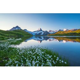 Fototapete papermoon "LANDSCHAFT-GEBIRGE BERGE SEE ALPEN BLUMEN NATUR TAPETE", bunt, B:5m L:2,8m, Vlies, Tapeten