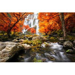 Fototapete papermoon "WASSERFALL-HERBST B&Auml;UME WALD NATUR LANDSCHAFT DSCHUNGEL", bunt, B:4m L:2,6m, Vlies, Tapeten