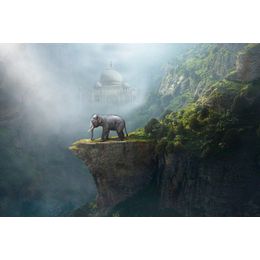 Fototapete papermoon "Indischer Elefant Taj Mahal", bunt, B:5m L:2,8m, Vlies, Tapeten