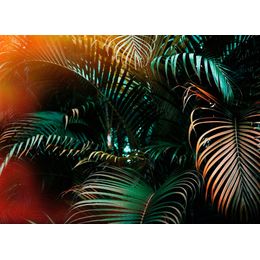 Livingwalls Fototapete LIVING WALLS "Jungle Vlies", bunt, B:3,5m L:2,55m, Vlies, Tapeten, 350 x 255 cm
