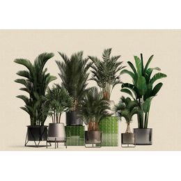 Livingwalls Fototapete LIVING WALLS "Walls by Patel Plant Shop", gr&uuml;n, B:4m L:2,7m, Vlies, Tapeten, Vlies, Wand