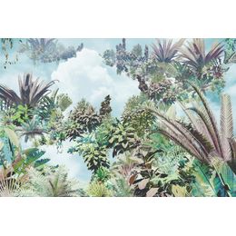 Vliestapete Komar "Vlies - Tropical Heaven - Gr&ouml;&szlig;e 368 x 248 cm", bunt, B:368m L:248m, Vlies, Tapeten, Wohnzimmer, Schlafzimmer