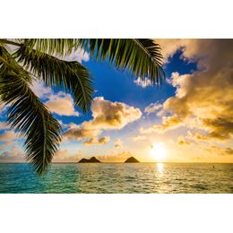Fototapete papermoon "STRAND-PALMEN SONNENUNTERGANG MEER KARIBIK INSEL PALME", bunt, B:5m L:2,8m, Vlies, Tapeten