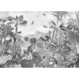 Vliestapete Komar "Digitaldruck Vlies - Flora and Fauna - Gr&ouml;&szlig;e 350 x 250 cm", schwarz (schwarz, wei&szlig;), B:350m L:250m, Vlies, Tapeten, Wohnzimmer, Schlafzimmer