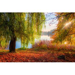 Fototapete papermoon "HERBST-SEE-SONNE WALD UFER WASSER WALD B&Auml;UME STRAND", bunt, B:4,5m L:2,8m, Vlies, Tapeten
