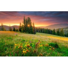 Fototapete papermoon "BLUMEN-WIESE-GEBIRGE NATUR NEBEL GR&Uuml;N SONNE BERG HIMMEL", bunt, B:5m L:2,8m, Vlies, Tapeten