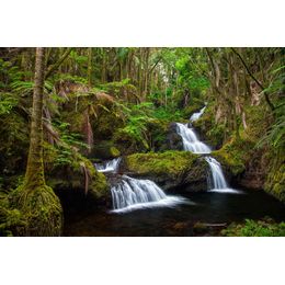Fototapete papermoon "WASSERFALL-MAGISCHER WALD B&Auml;UME FLUSS SEE STEINE BLUMEN", bunt, B:3,5m L:2,6m, Vlies, Tapeten