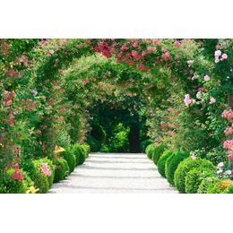Fototapete papermoon "Rose Arch Garden", bunt, B:3,5m L:2,6m, Vlies, Tapeten