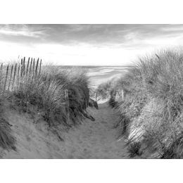 Fototapete papermoon "Strand Schwarz & Wei&szlig;", schwarz (schwarz, wei&szlig;), B:4,5m L:2,8m, Vlies, Tapeten