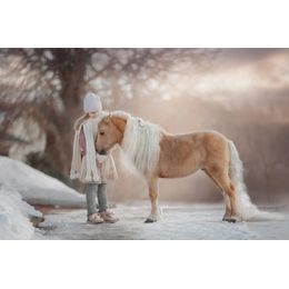 Fototapete papermoon "PALOMINO MINIATURE PFERD-M&Auml;DCHEN WINTER TIER PONY MINI", bunt, B:5m L:2,8m, Vlies, Tapeten