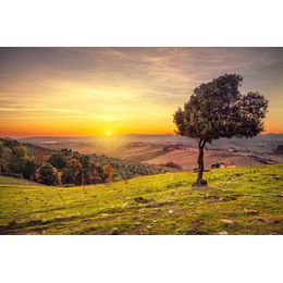 Fototapete papermoon "Landschaft mit Baum", bunt, B:4,5m L:2,8m, Vlies, Tapeten