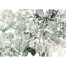 Vliestapete Komar "Digitaldruck Vlies - Valerie - Gr&ouml;&szlig;e 350 x 250 cm", bunt, B:350m L:250m, Vlies, Tapeten, Wohnzimmer, Schlafzimmer