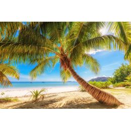 Fototapete papermoon "Palme am Strand", bunt, B:4,5m L:2,8m, Vlies, Tapeten
