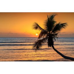 Fototapete papermoon "Palme am Strand", bunt, B:4m L:2,6m, Vlies, Tapeten