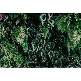 Livingwalls Fototapete LIVING WALLS "Walls by Patel Deep Green", gr&uuml;n, B:4m L:2,7m, Vlies, Tapeten, Vlies, Wand