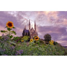 Fototapete papermoon "Kirche im Sonnenblumenfeld", bunt, B:5m L:2,8m, Vlies, Tapeten