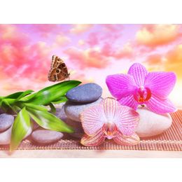 Fototapete papermoon "BLUMEN ABSTRAKT-MUSTER DESIGN SCHMETTERLING BLUME ZEN", bunt, B:3,5m L:2,6m, Vlies, Tapeten
