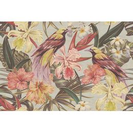 Livingwalls Fototapete LIVING WALLS "Walls by Patel Exotic Birds 1", beige (bunt), B:4m L:2,7m, Vlies, Tapeten, Vlies, Wand, Schr&auml;ge