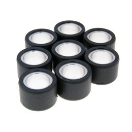 Variomatikgewichte Polini 25x17mm - 16,0g - 8Stk