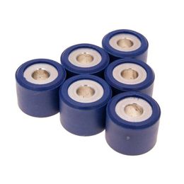 Variomatikgewichte Polini 21x17mm - 12,5g