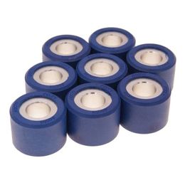 Variomatikgewichte Polini 25x19mm - 16,0g - 8Stk