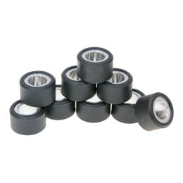 Variomatikgewichte Polini 19x12mm - 6,1g - 9Stk