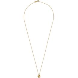 FAVS. FAVS FAVS Damen-Kette 375er Gelbgold ' ' Damen Gr&ouml;&szlig;e One Size gold